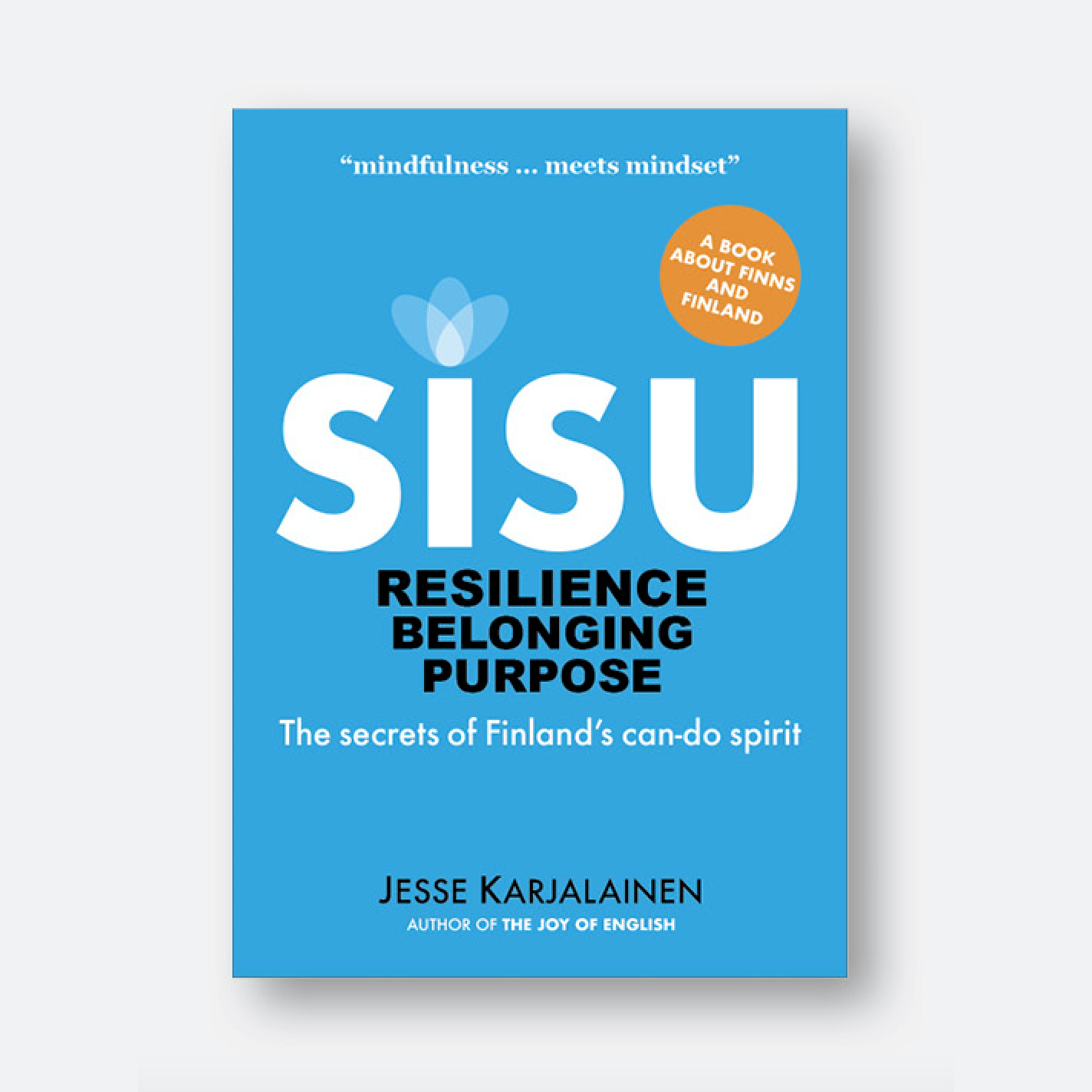 What is Sisu?
