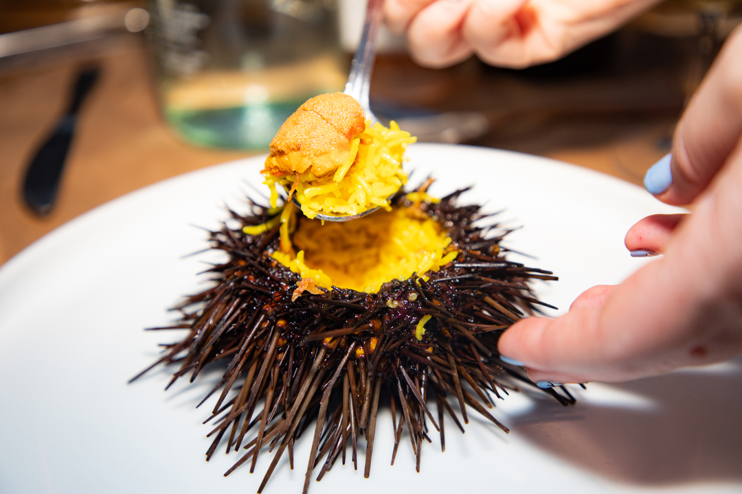 A Food Lover’s Guide to Santa Barbara | Neigborhood Food Spots