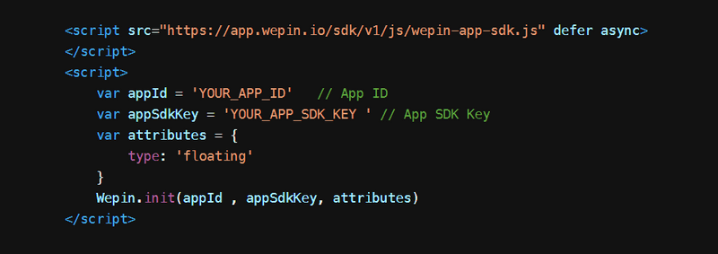 WEPIN - The world first built-in wallet