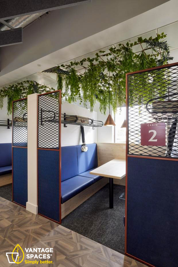 Plant Gallery & Inspiration | Vantage Spaces