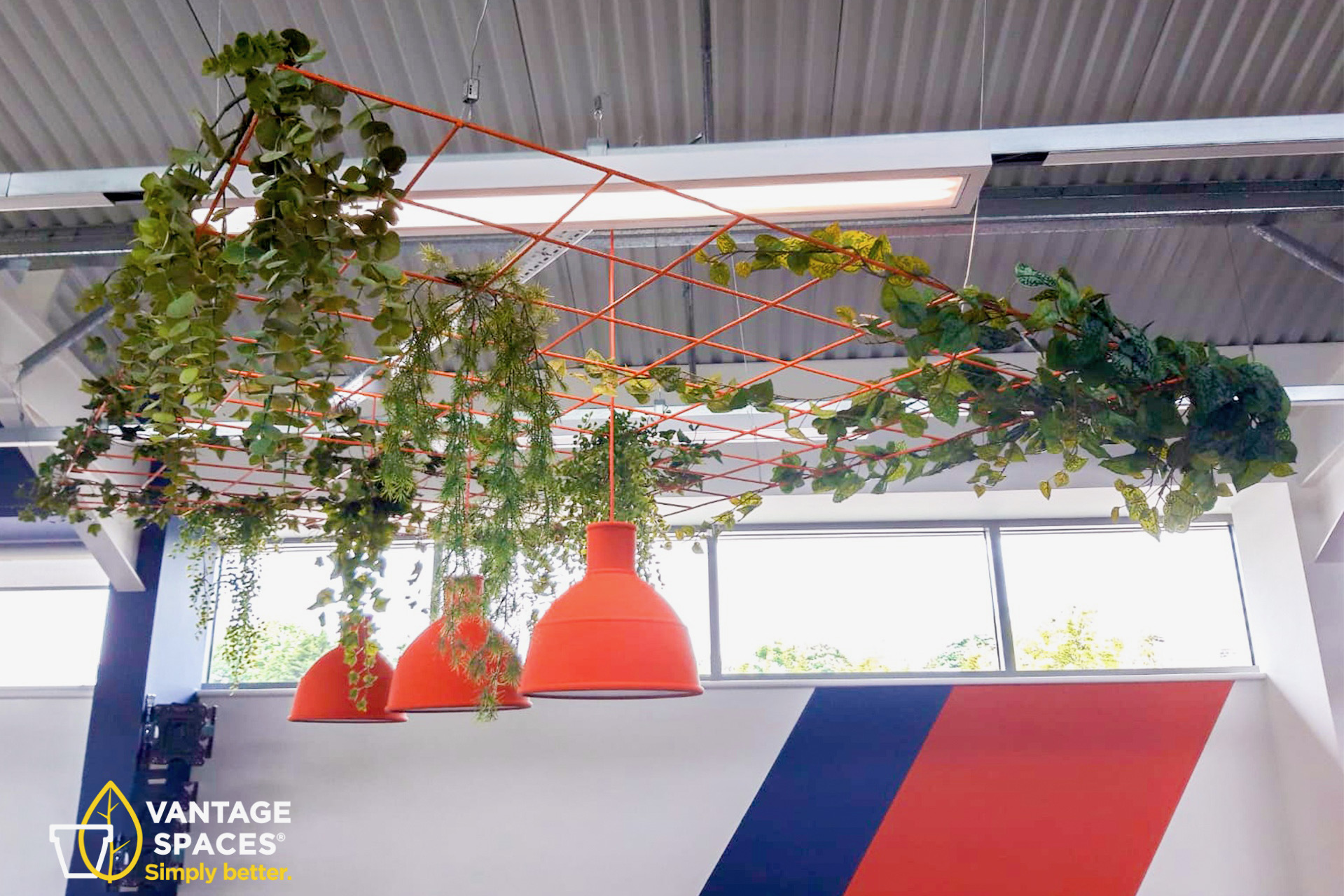 Plant Gallery & Inspiration | Vantage Spaces