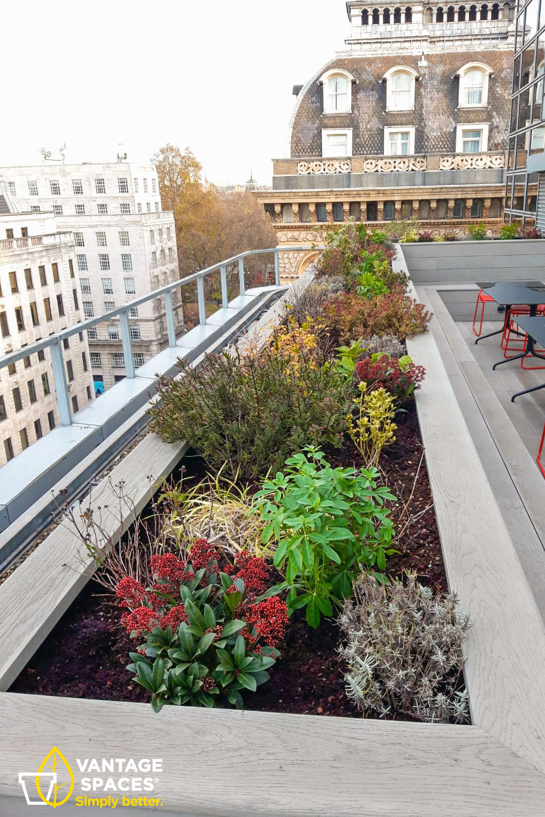 Plant Gallery & Inspiration | Vantage Spaces