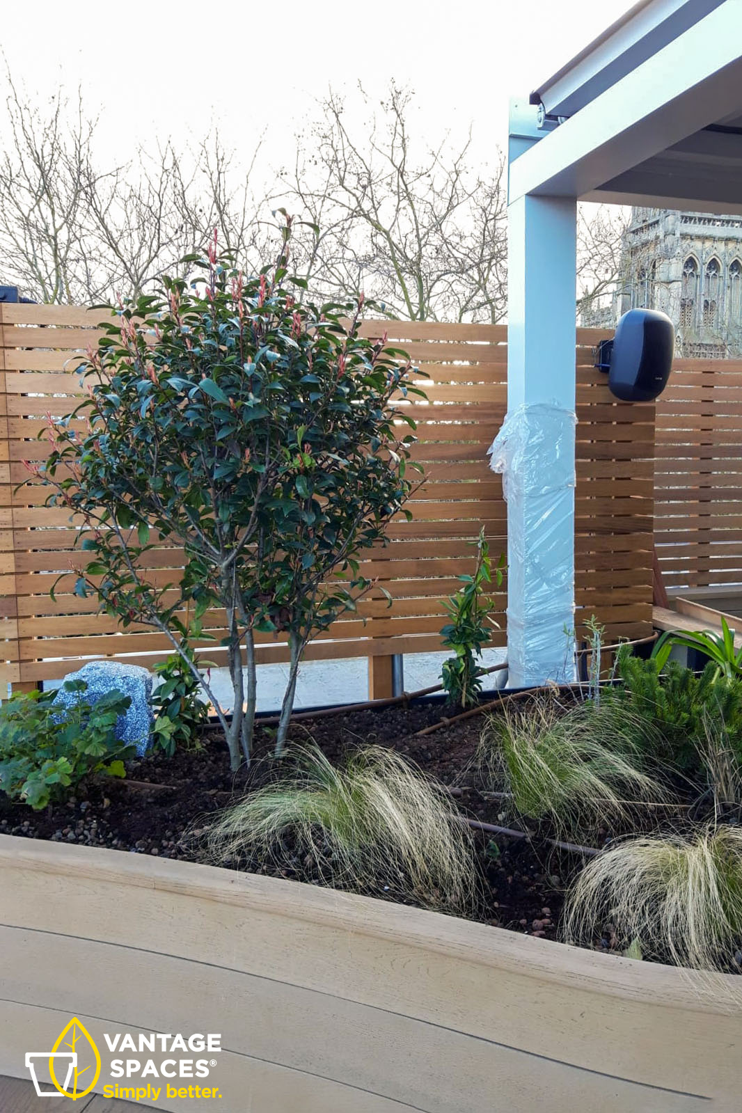 Plant Gallery & Inspiration | Vantage Spaces