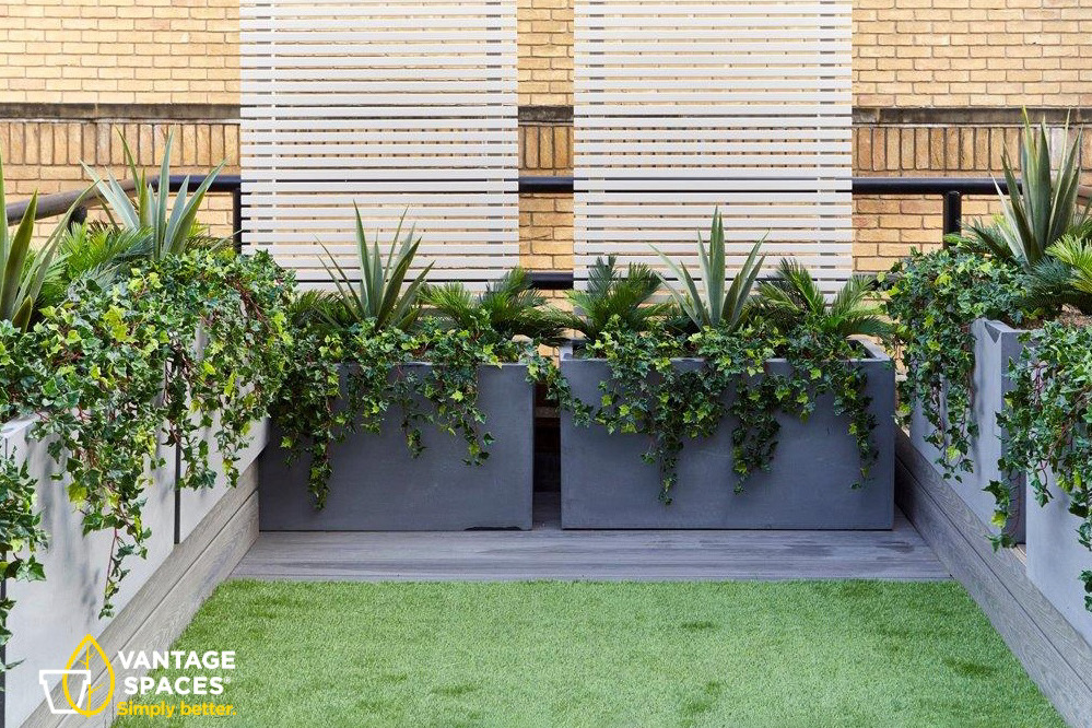 Plant Gallery & Inspiration | Vantage Spaces