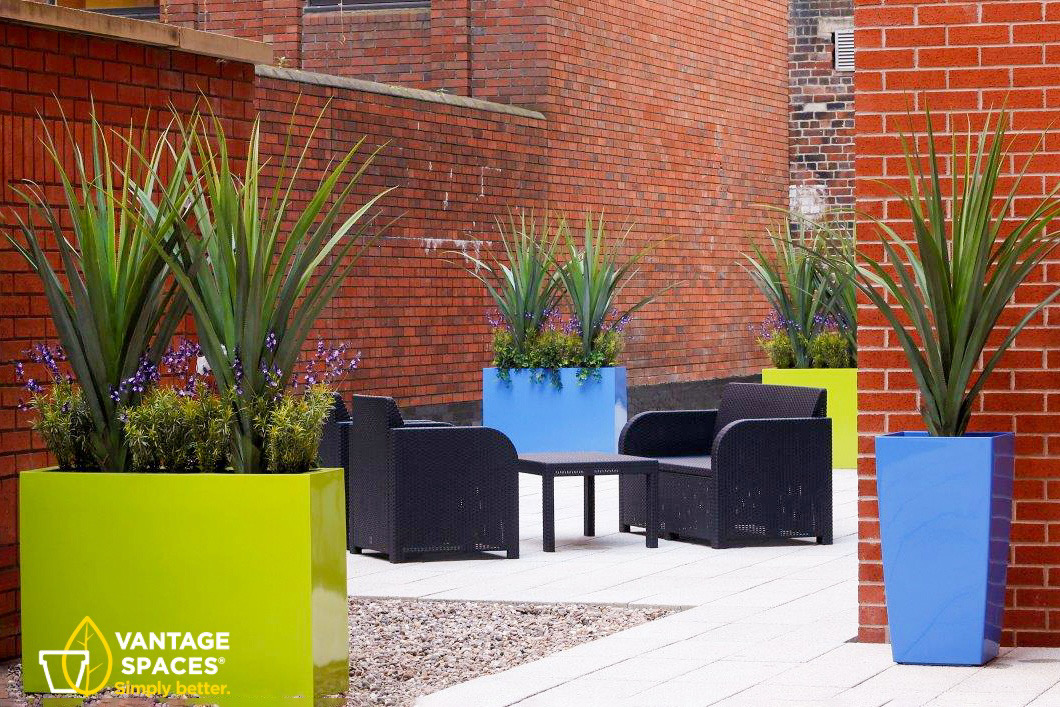 Plant Gallery & Inspiration | Vantage Spaces