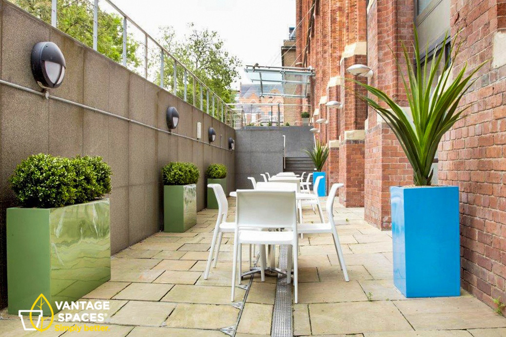 Plant Gallery & Inspiration | Vantage Spaces