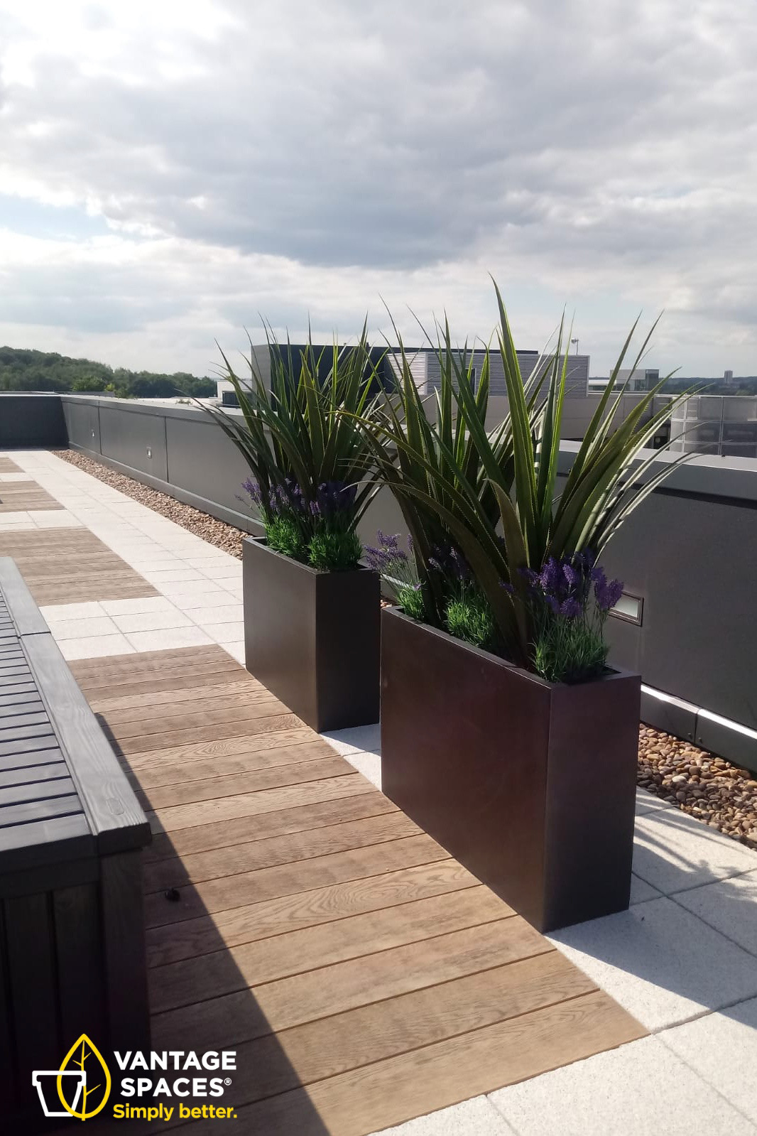 Plant Gallery & Inspiration | Vantage Spaces