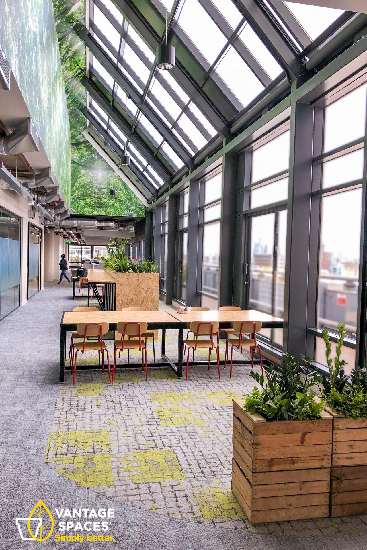 Plant Gallery & Inspiration | Vantage Spaces