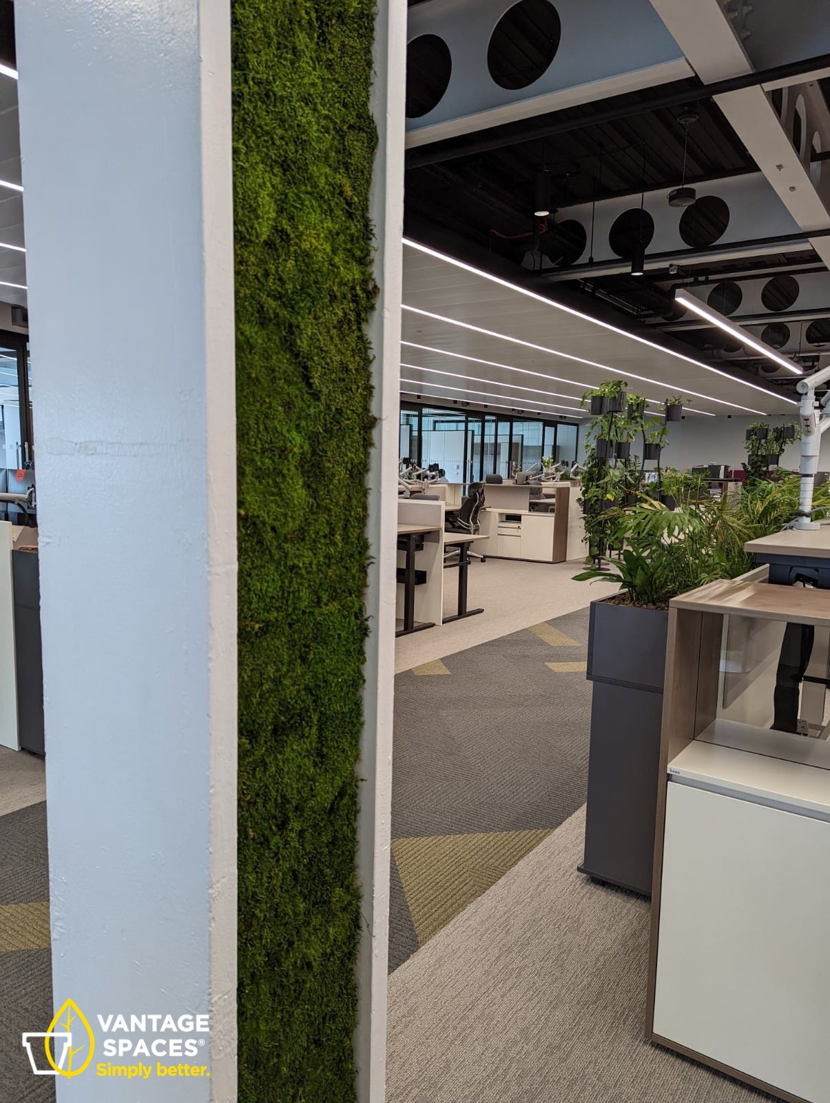 Montagu Case Study | Vantage Spaces