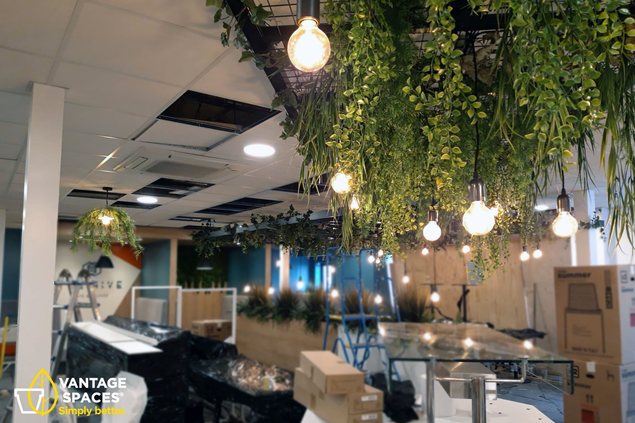 The Vantage guide to indoor hanging plants | Vantage Spaces