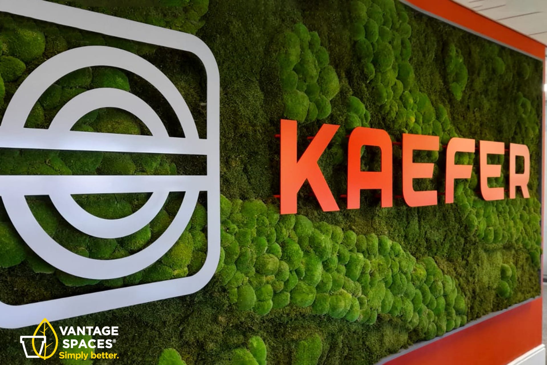 Five ways to use moss for branded wall art | Vantage Spaces