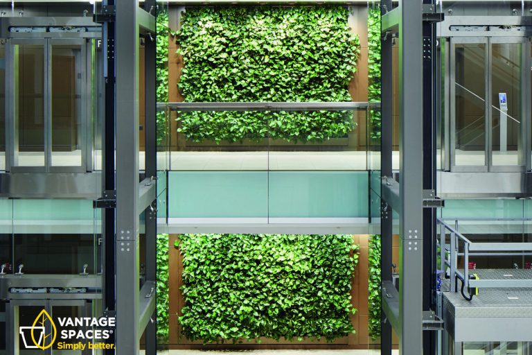 Six reasons office plants improve employee wellbeing | Vantage Spaces
