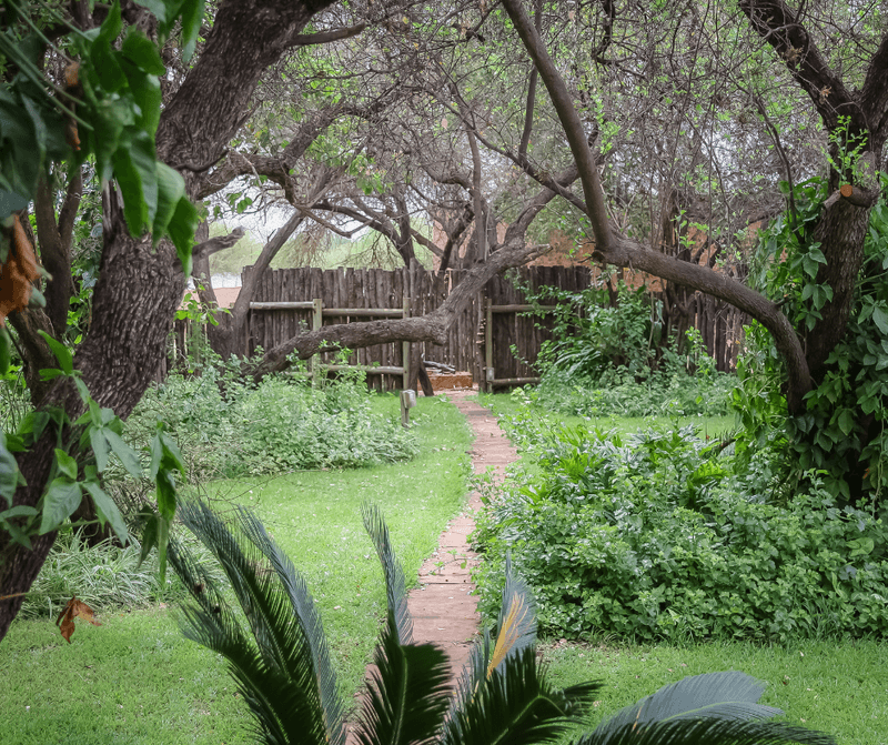 Kuvhima Safaris - Accomodation