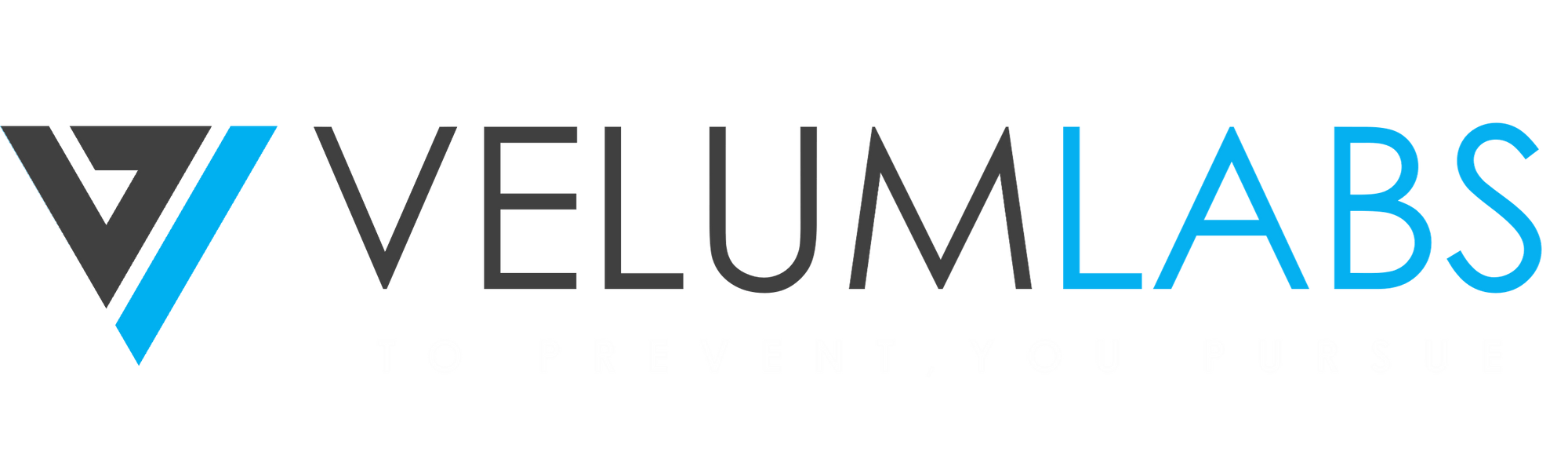Home Velumlabs