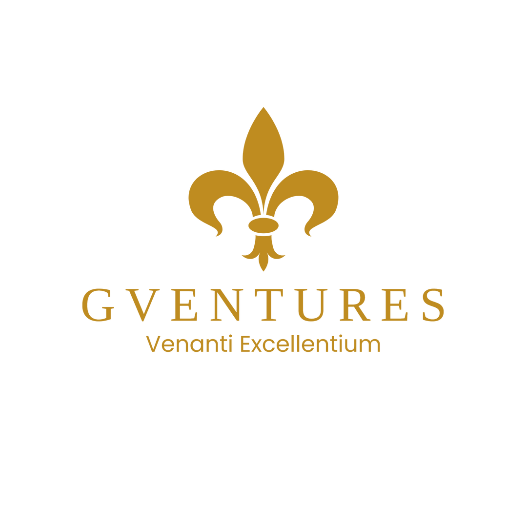GVentures | Headhunter | Finance, Strategy, M&A, PE