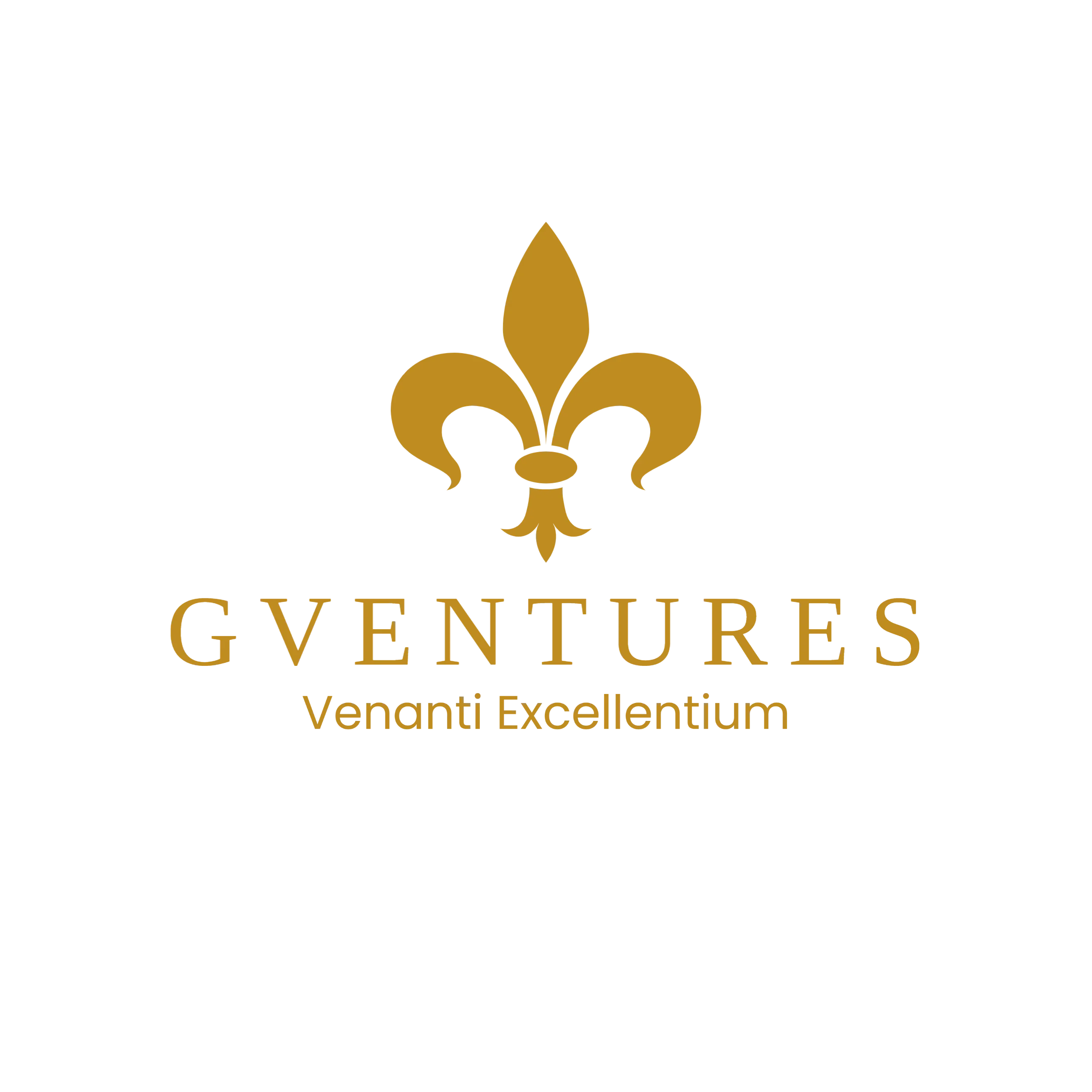 GVentures | Headhunter | Finance, Strategy, M&A, PE
