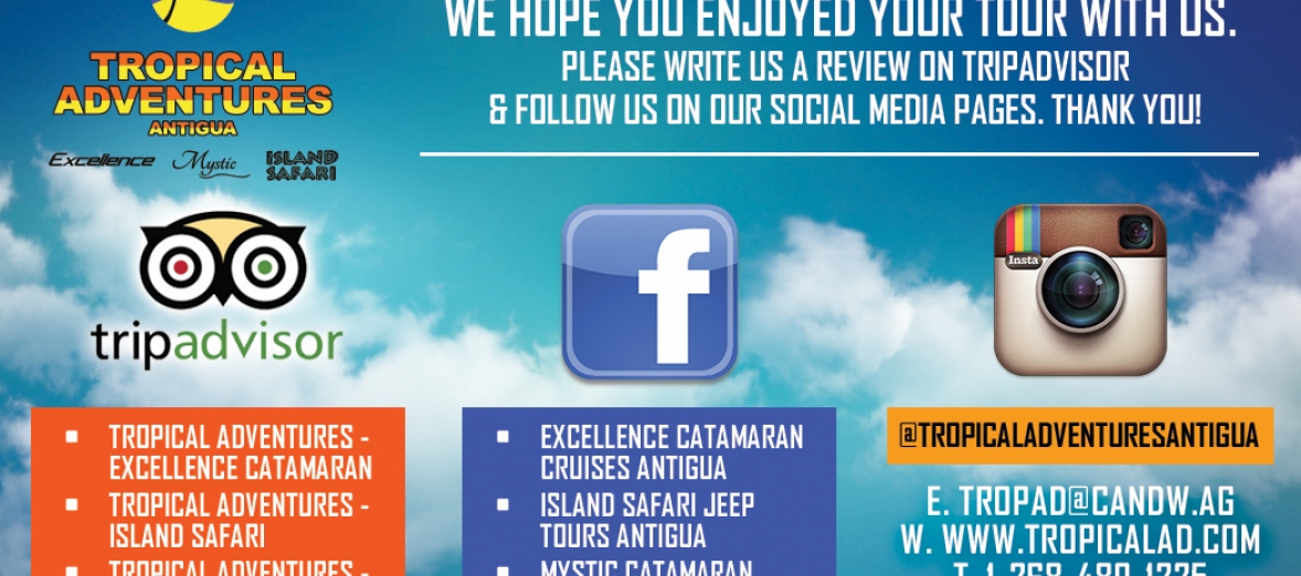 Social Media Cards