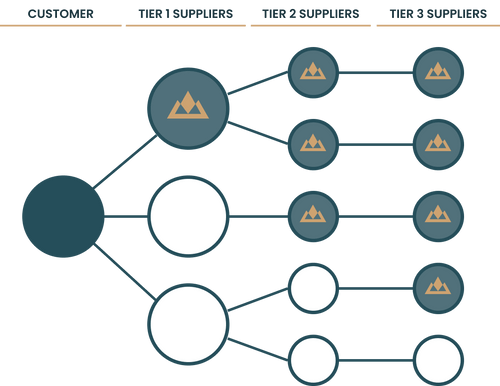 Muir AI | Rapid emissions data at all stages of the supply chain