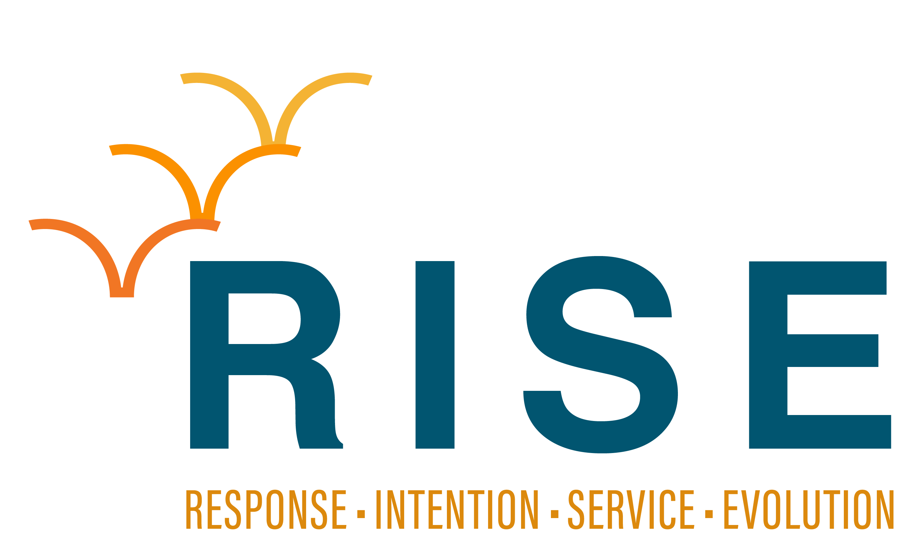 RISE Executive Leadership Development | Senior Leadership Training Course