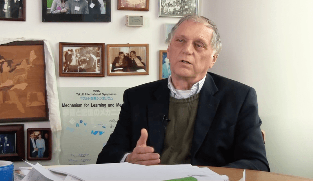 GoCognitive Video Section