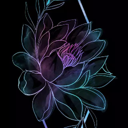 Andrei's Workspace - Webflow