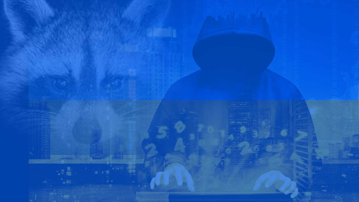 Raccoon Stealer Malware Threat Intel Advisory | Threat Intelligence ...