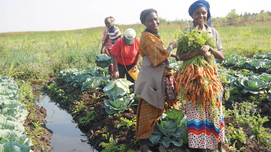 Adopt Farmer Producer Concept- Copperbelt Small Scale Horticultural ...