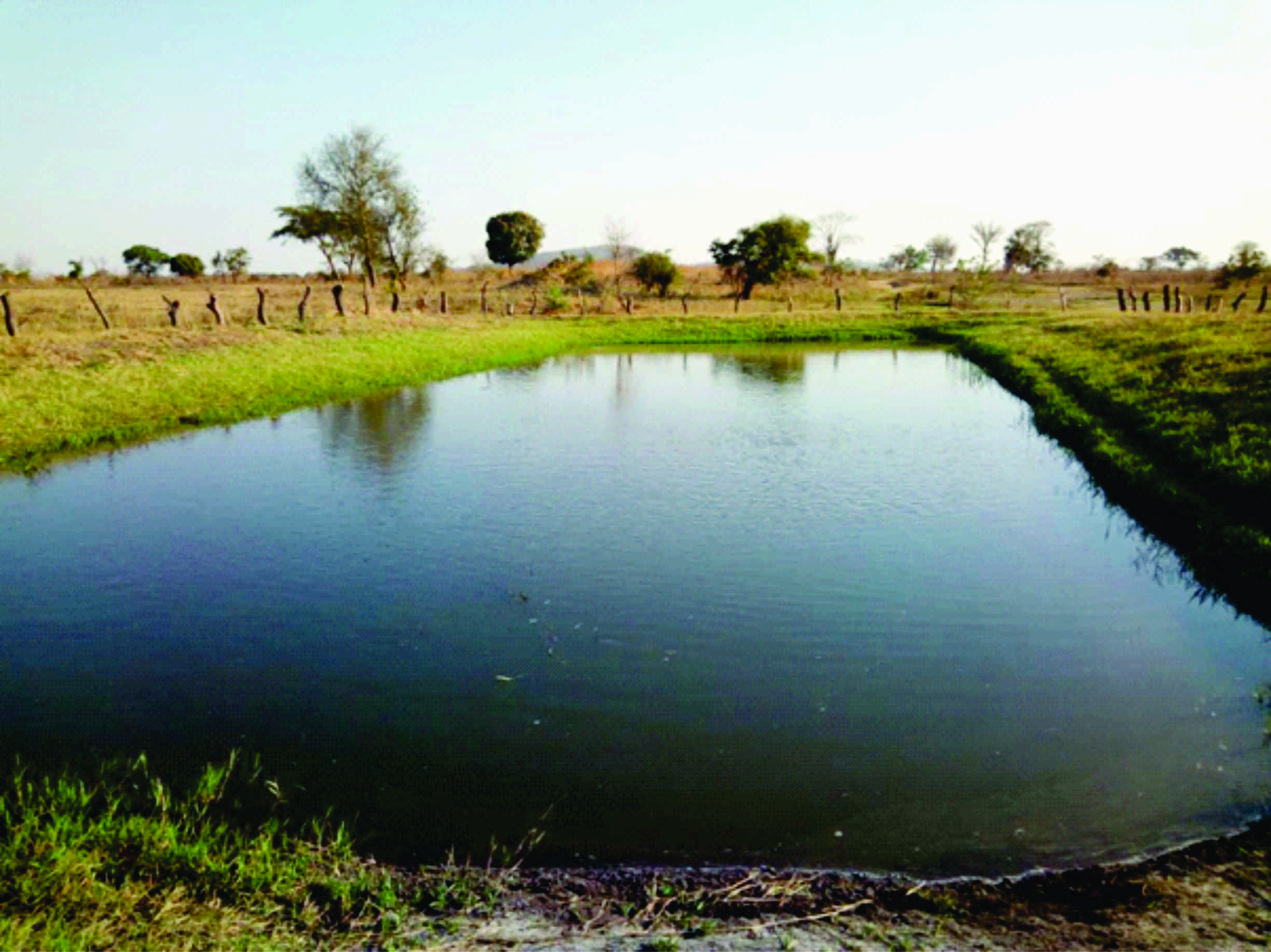 Water Budgeting in Fish Farming