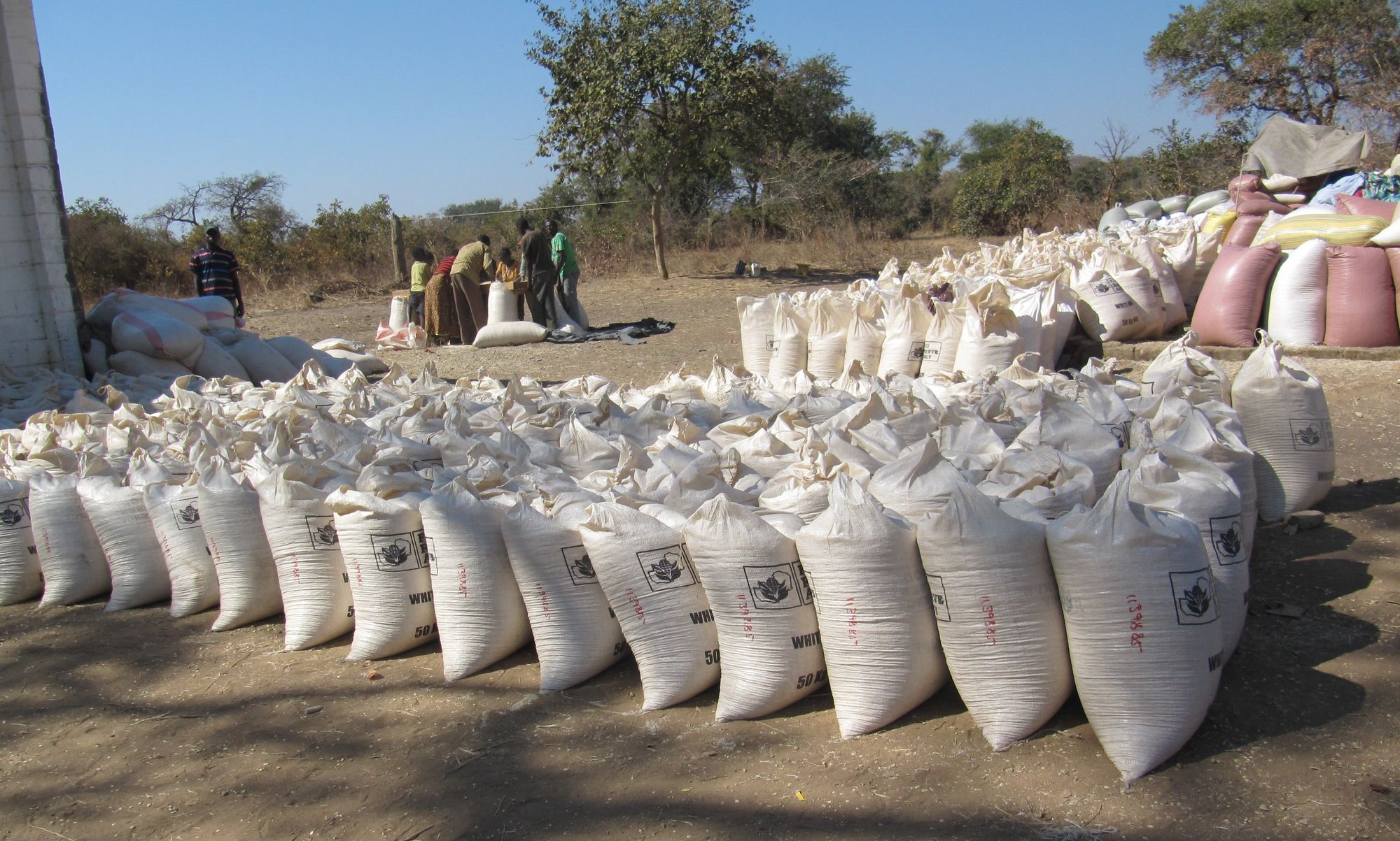 Agricoop News