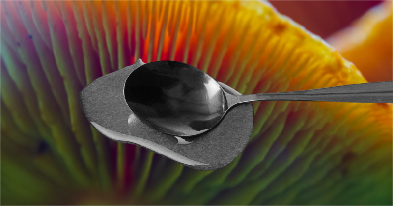 Microdosing Protocols: The Fadiman Protocol