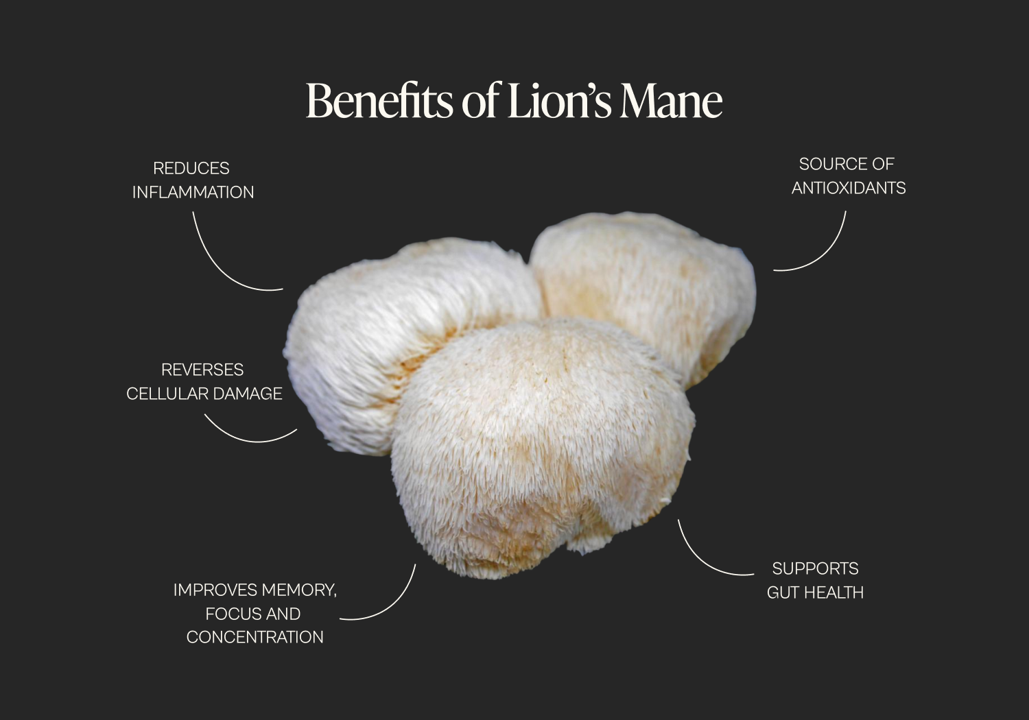 Microdosing Protocols: The Stamets Stack