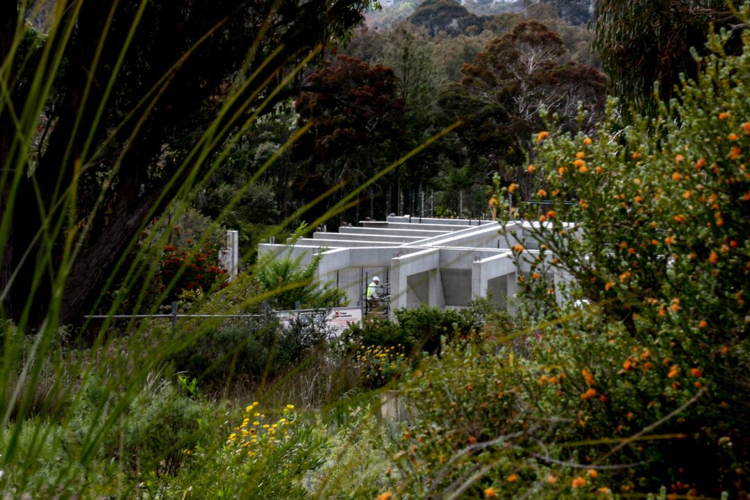 CHROFI | Project | Lizard Log