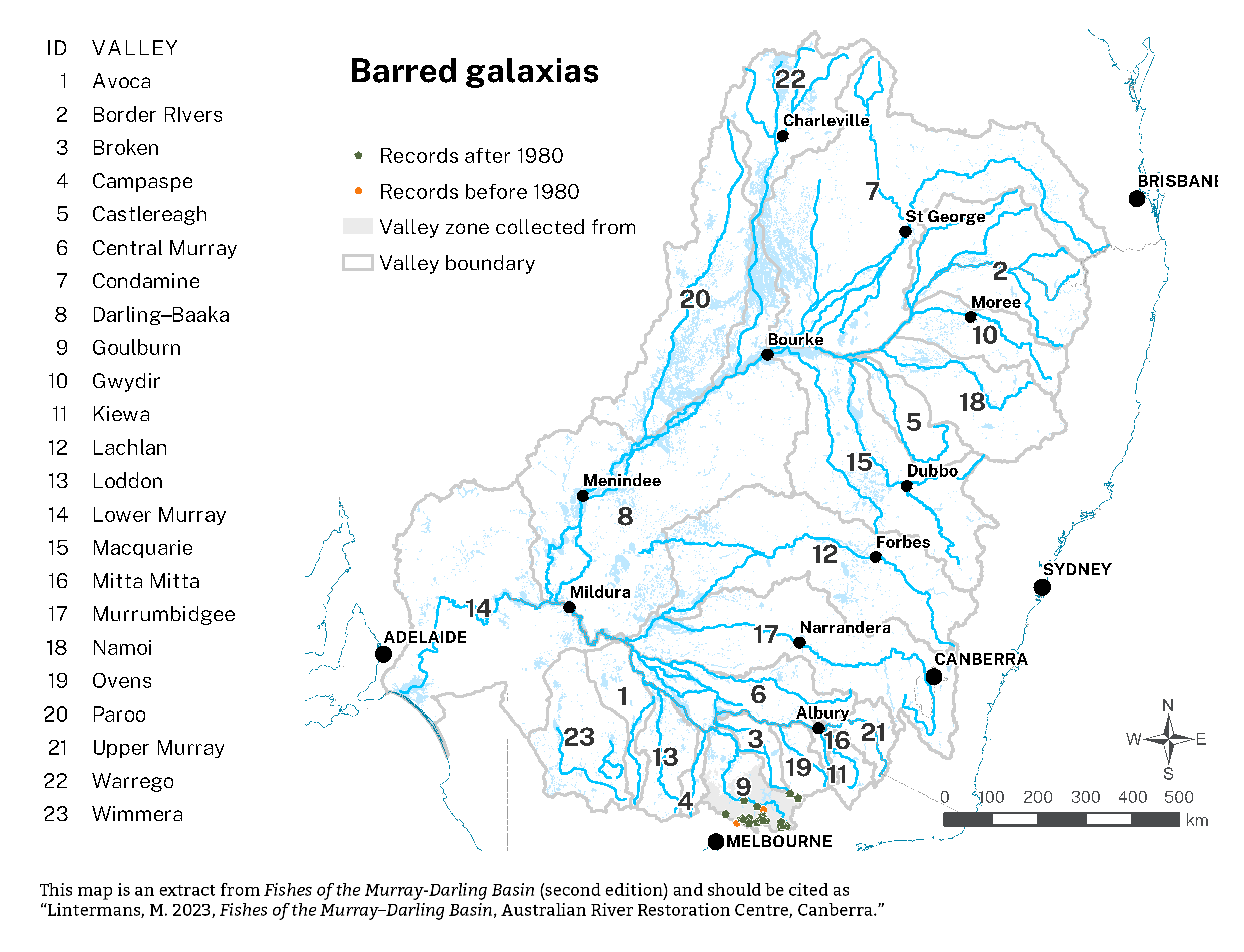 Barred galaxias - Galaxias fuscus
