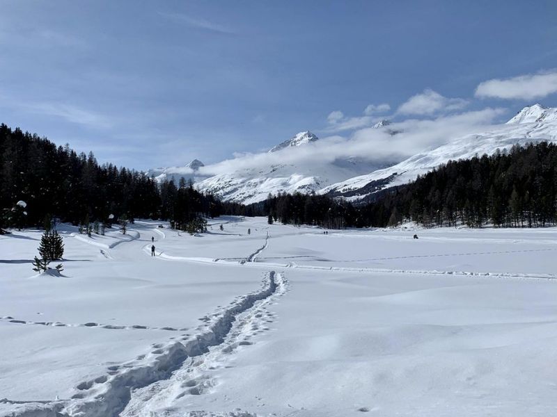 How to pass the new ICF Credentialing Exam | Blog | SolutionsAcademy