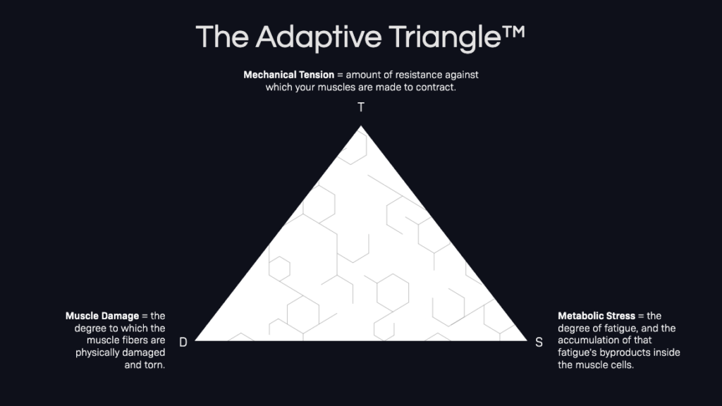 The Adaptive Triangle™ - Adjust Your Workout Intelligently - ARX