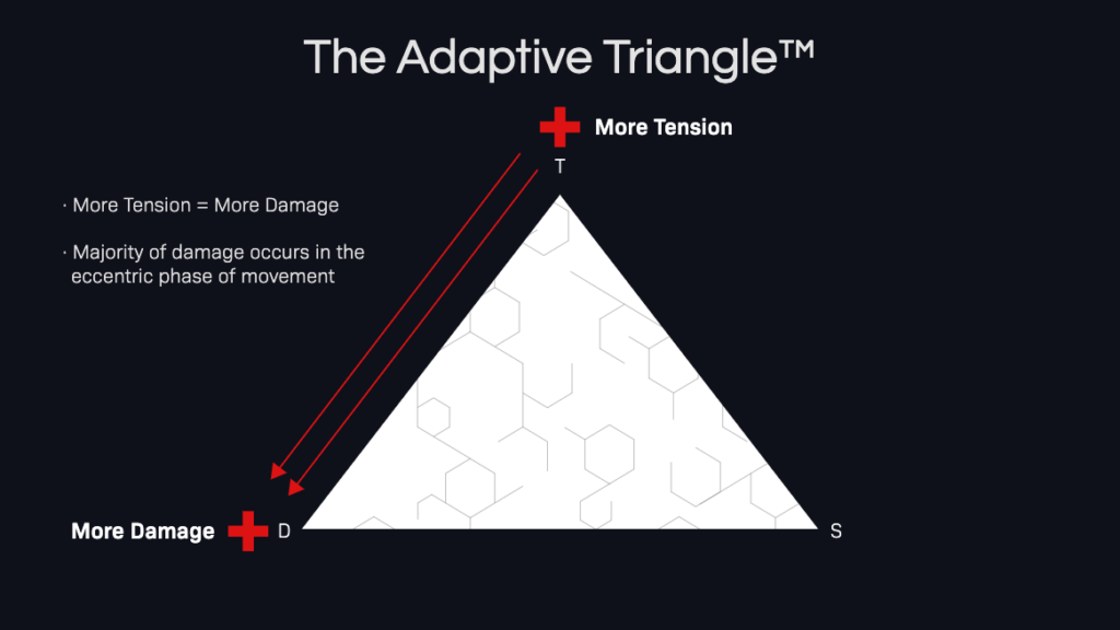 The Adaptive Triangle™ - Adjust Your Workout Intelligently - ARX