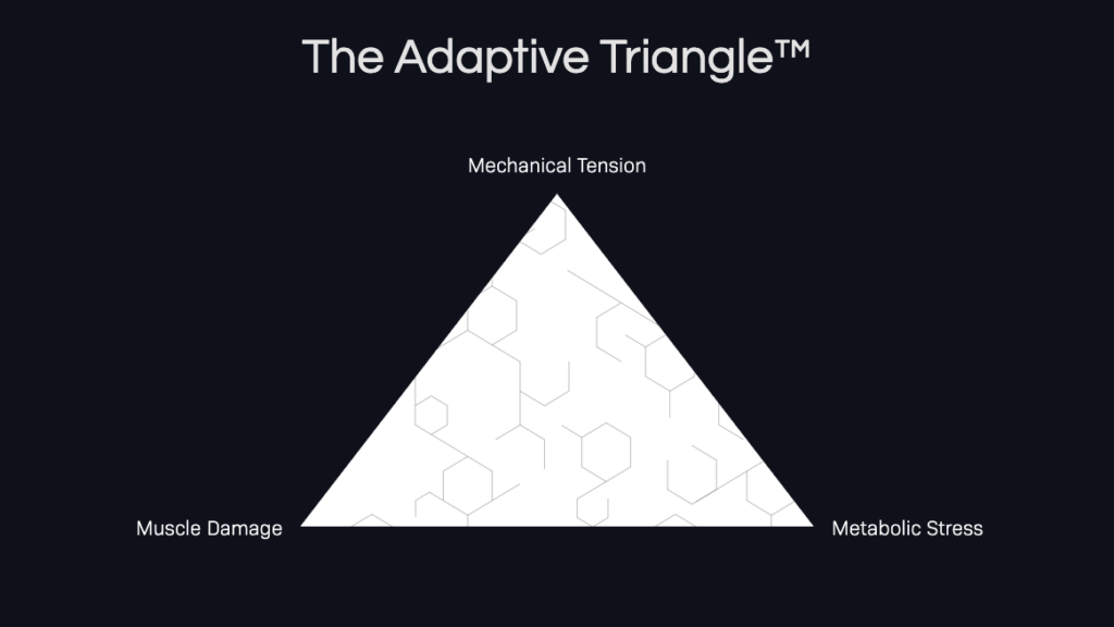 The Adaptive Triangle™ - Adjust Your Workout Intelligently - ARX