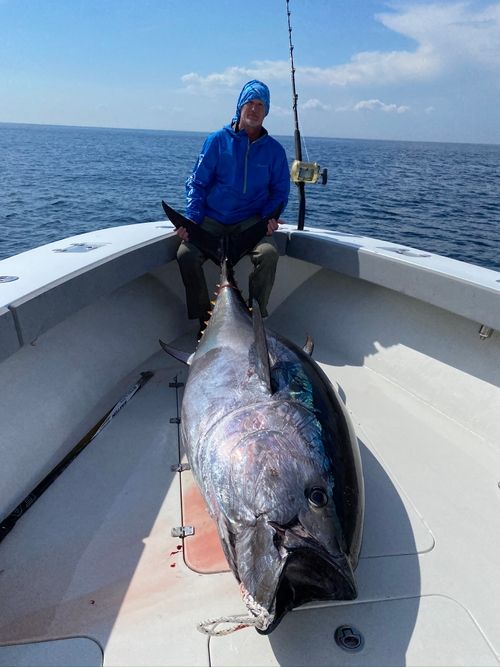 Cape Star Charters - Gallery