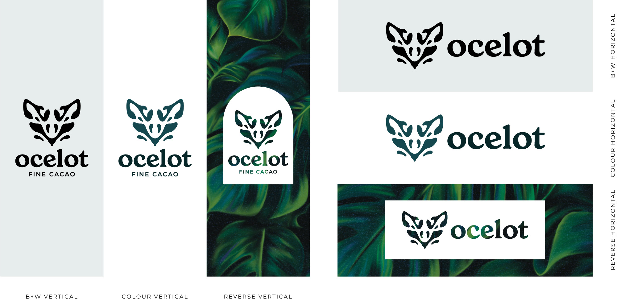 Ocelot Fine Cacao Branding & Packaging | Delphine Sullivan Design
