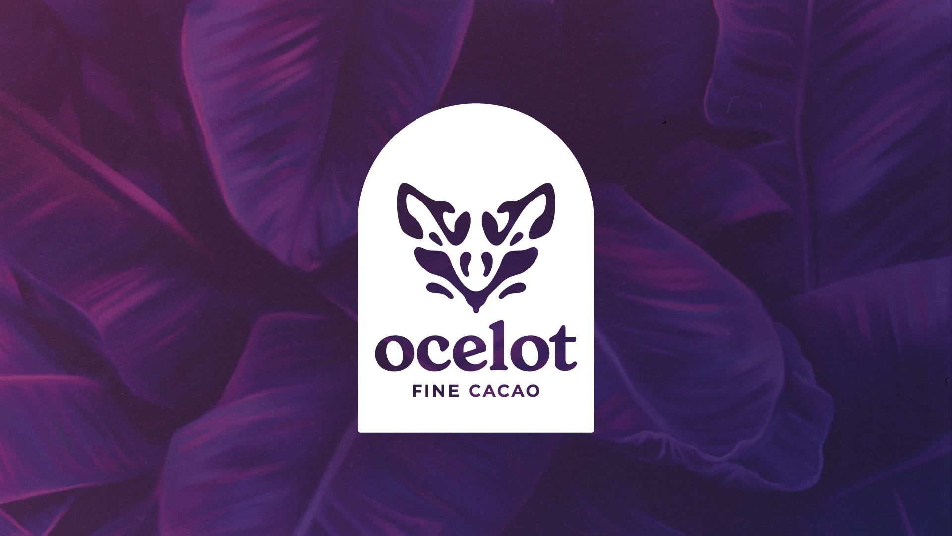 Ocelot Fine Cacao Branding & Packaging | Delphine Sullivan Design