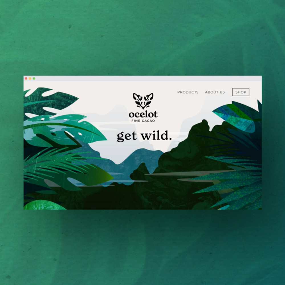 Delphine Sullivan Design | Branding, Illustration, & Package Design ...