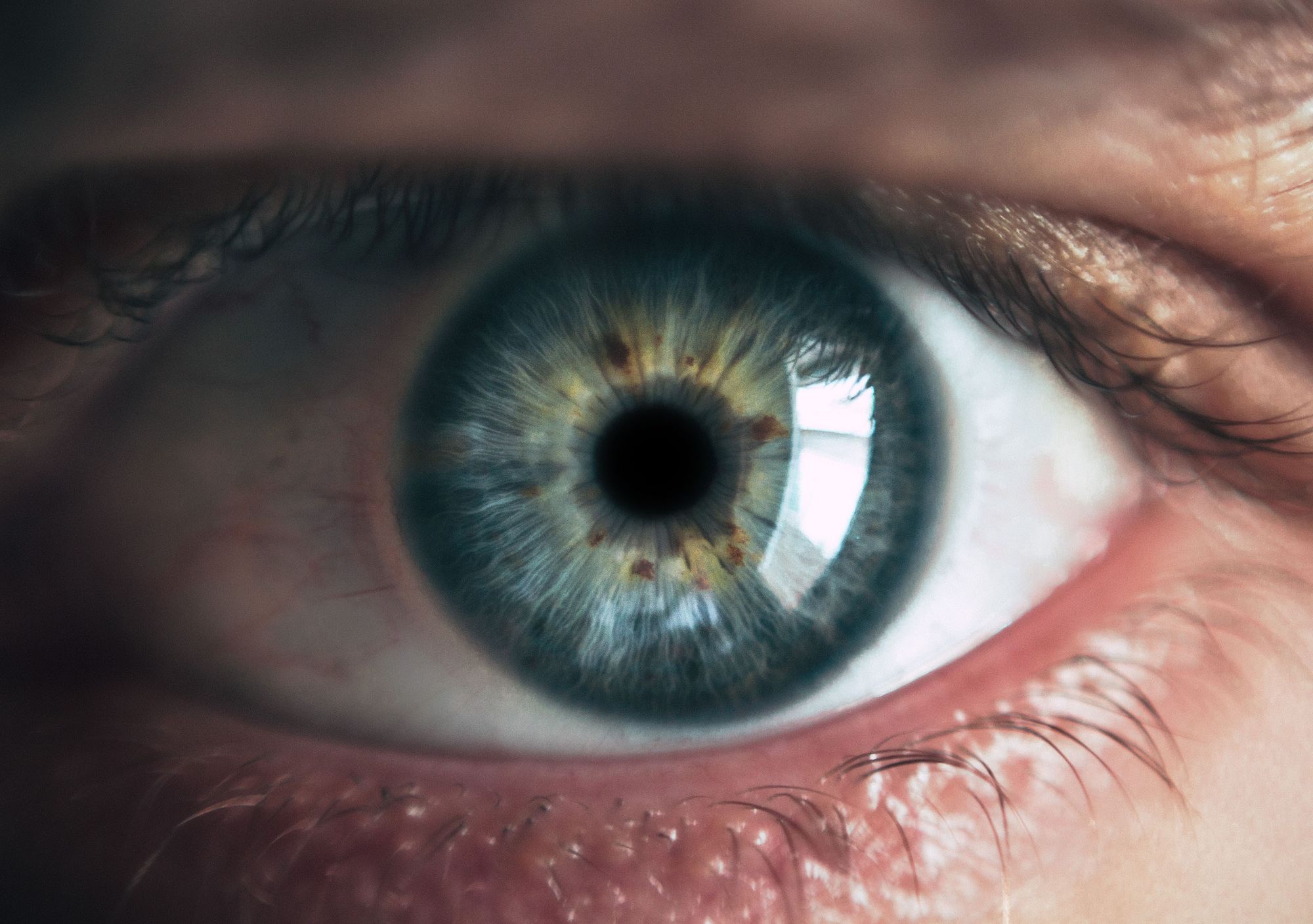 Aesthetic Mindset Index