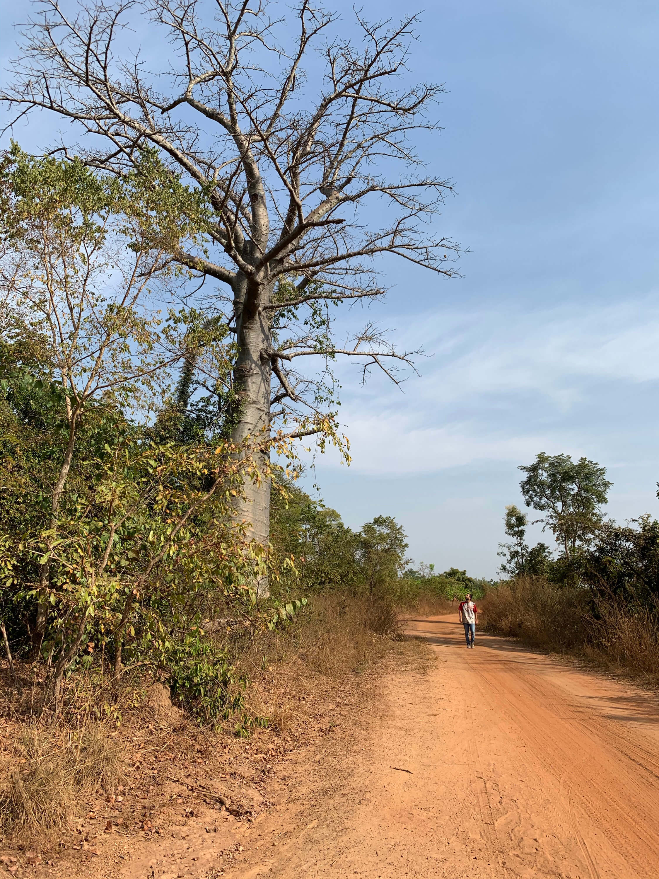 Accueil | Mon Doux Pays | Côte d'Ivoire