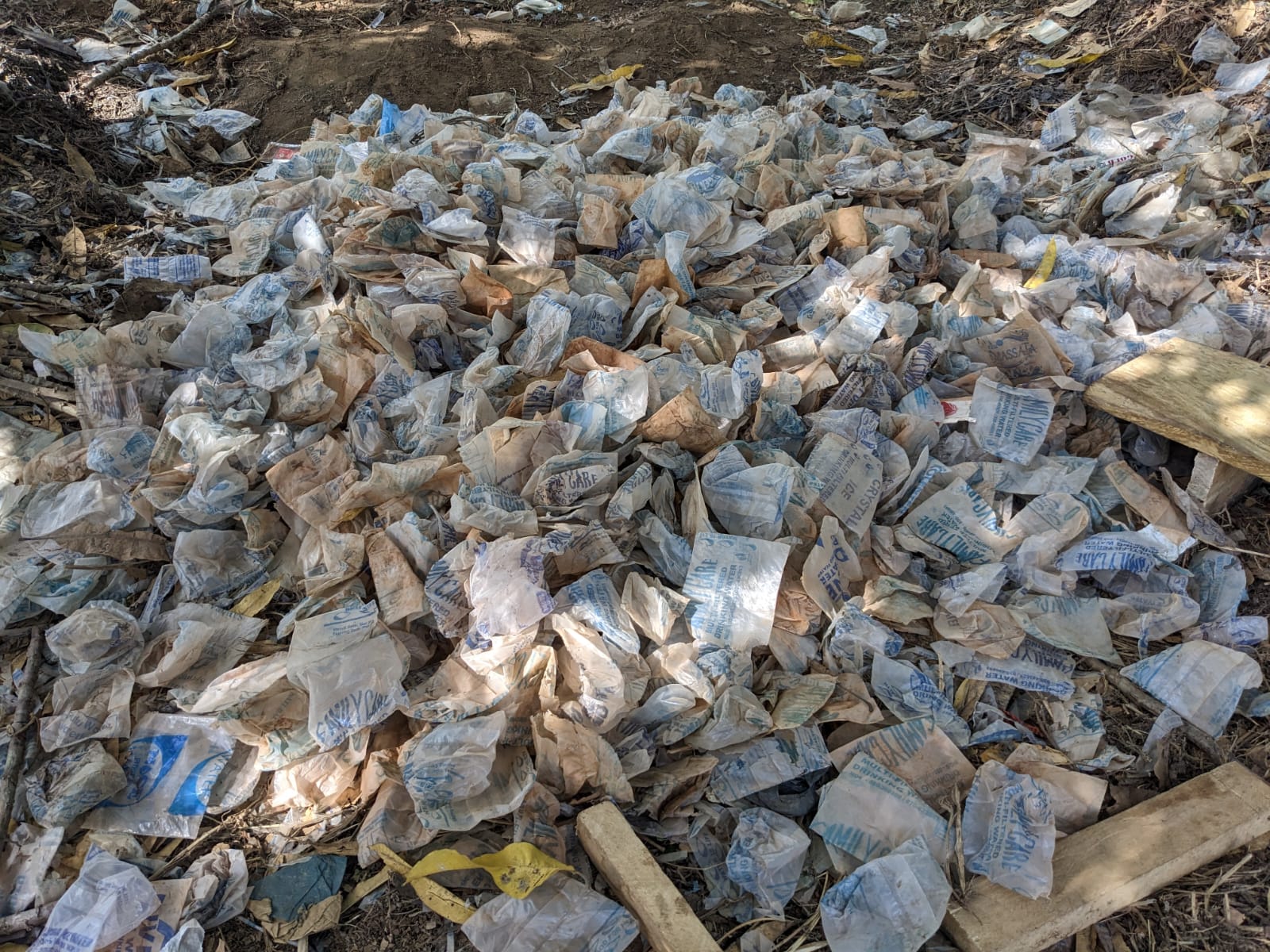 Upcycling plastic waste to help regrow rainforests in West Africa - Oko ...