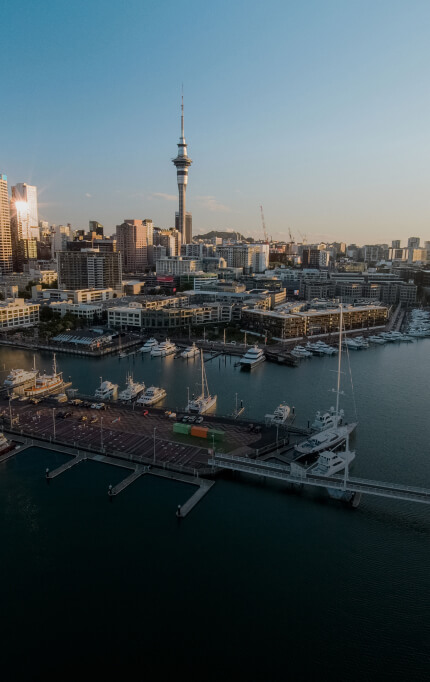 Viaduct Marina | Auckland