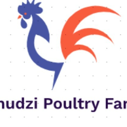 Peter's Workspace - Webflow