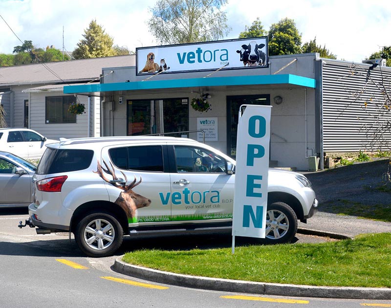 Vetora Veterinary Clinics - Waikato & Bay Of Plenty