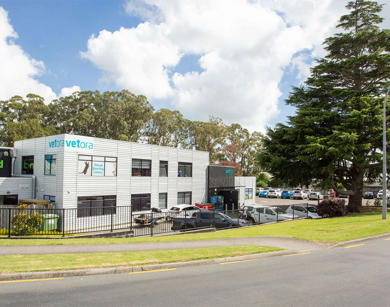 Vetora Cambridge - Veterinary Clinic - Information