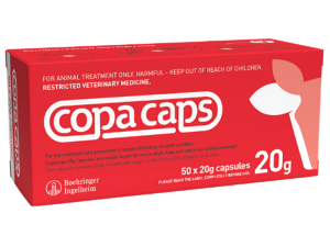 Sizes – 10g, 20g, 30g, 36g