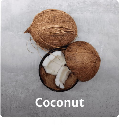 ISF Industries | Home